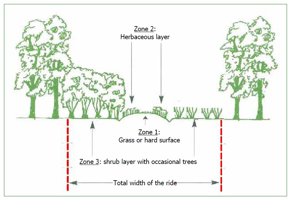 Fire Break Part 1: Ride Widening