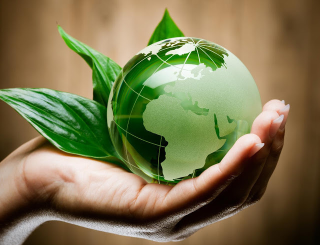 Ecologia și interdependențele ecologice - Enciclopedia Naturii