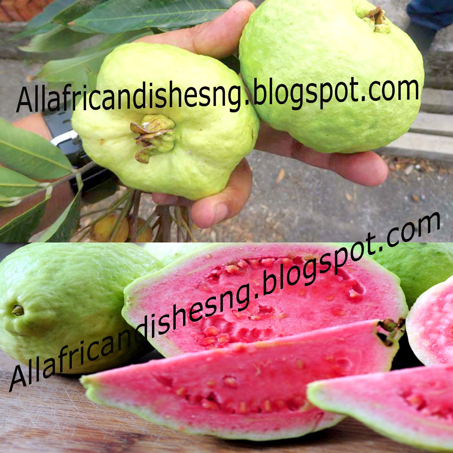 ALL AFRICAN DISHES: FRUIT CARE (GUAVA)