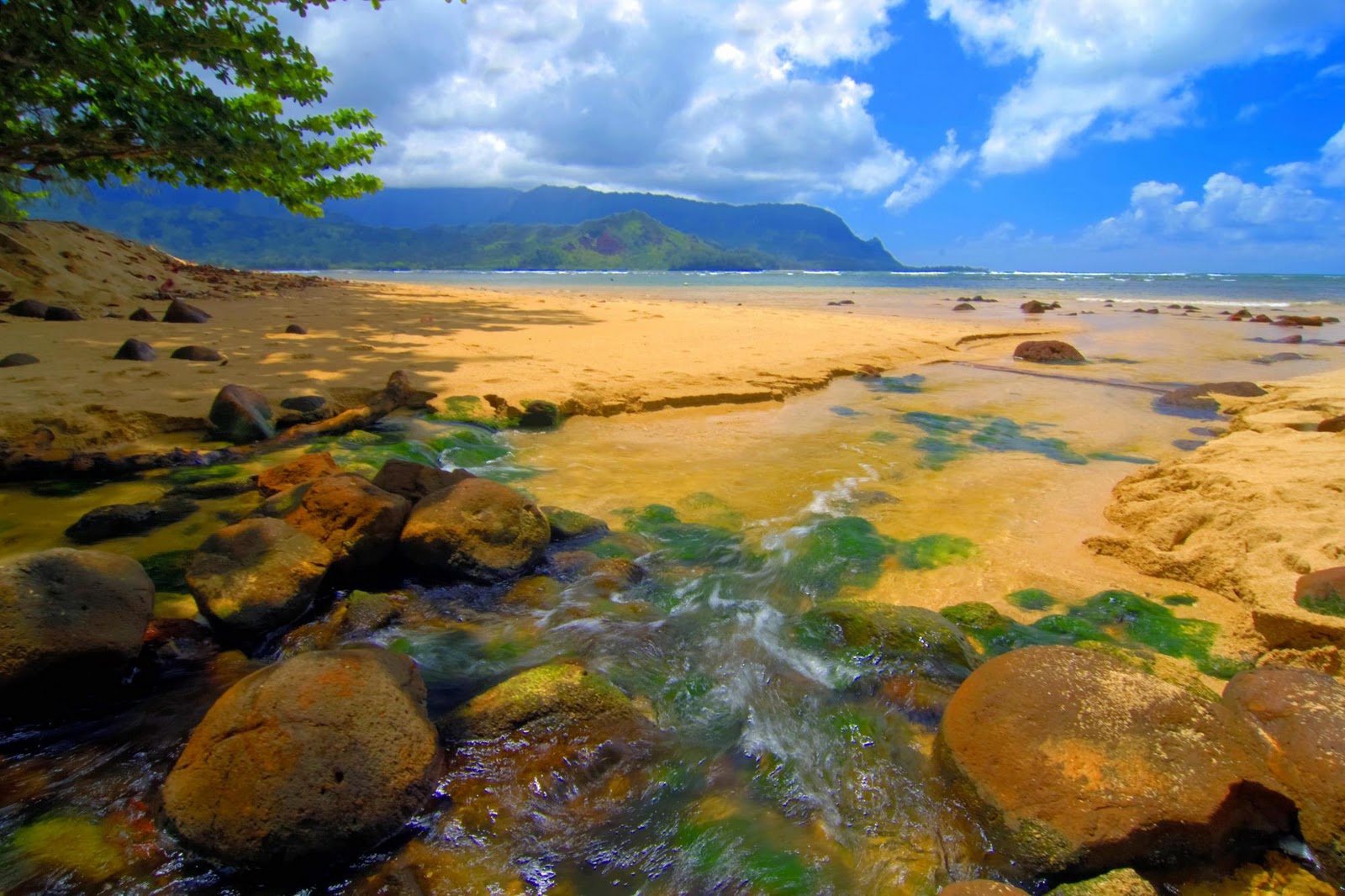 Sueños del Caribe: enero 2012