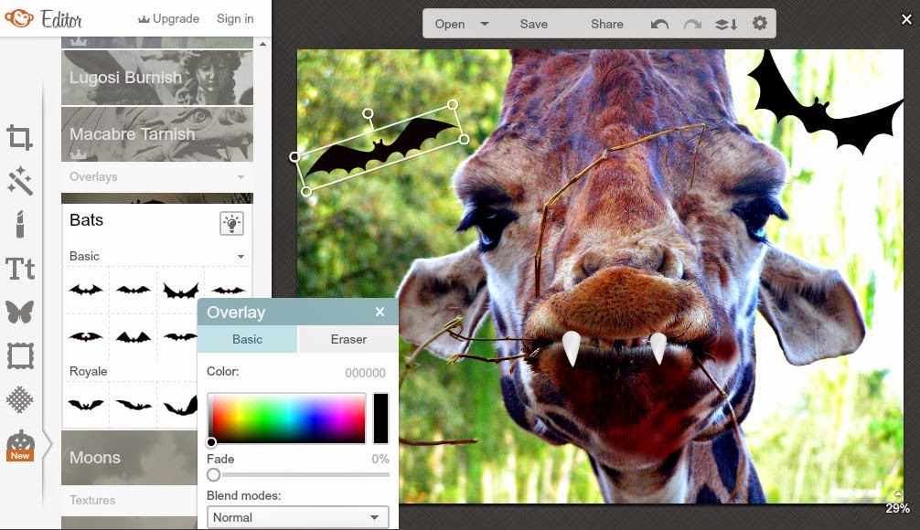 ICT weetjes: PicMonkey - workshop online foto's bewerken