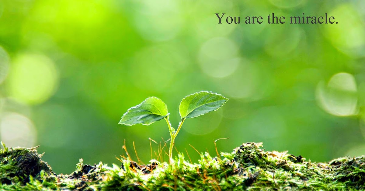 3 Powerful Steps that WILL Fill Your Life with Miracles - Laughing Socrates