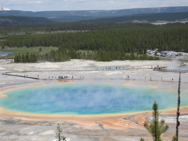 The Scallywagon: YOU SKIN GRIZ', PILGRIM? Yellowstone National Park
