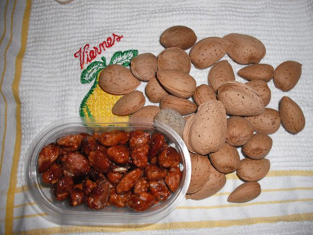 huertodelmanjon: RECOLECTAR LOS ALMENDRUCOS