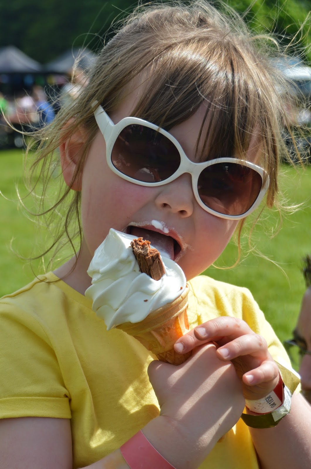 Geronimo Festival, Tatton Park - Review - We're going on an adventure