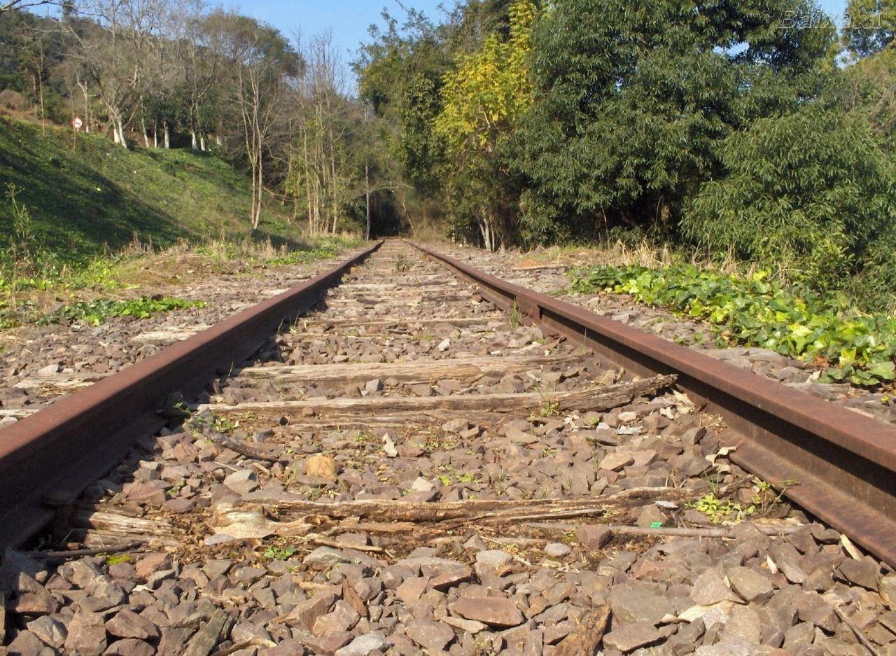 DROPS DE TURISMO: BRASIL AMPLIA TRANSPORTE SOBRE TRILHOS