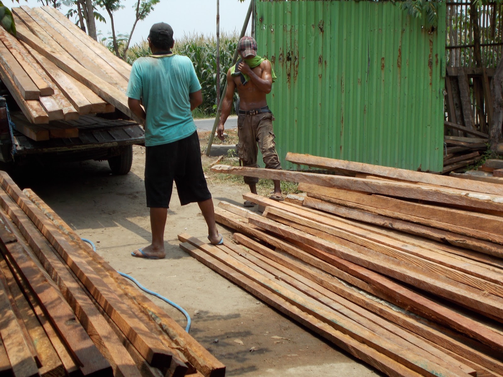 Jual Kayu Glugu | Jual Kayu Kelapa | Kayu Kalimantan: Jual Kayu Kelapa ...