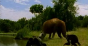 La Odisea de la Especie : TUMAY