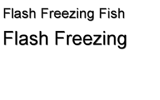 Flash Freezing - Flash Freezing Fish