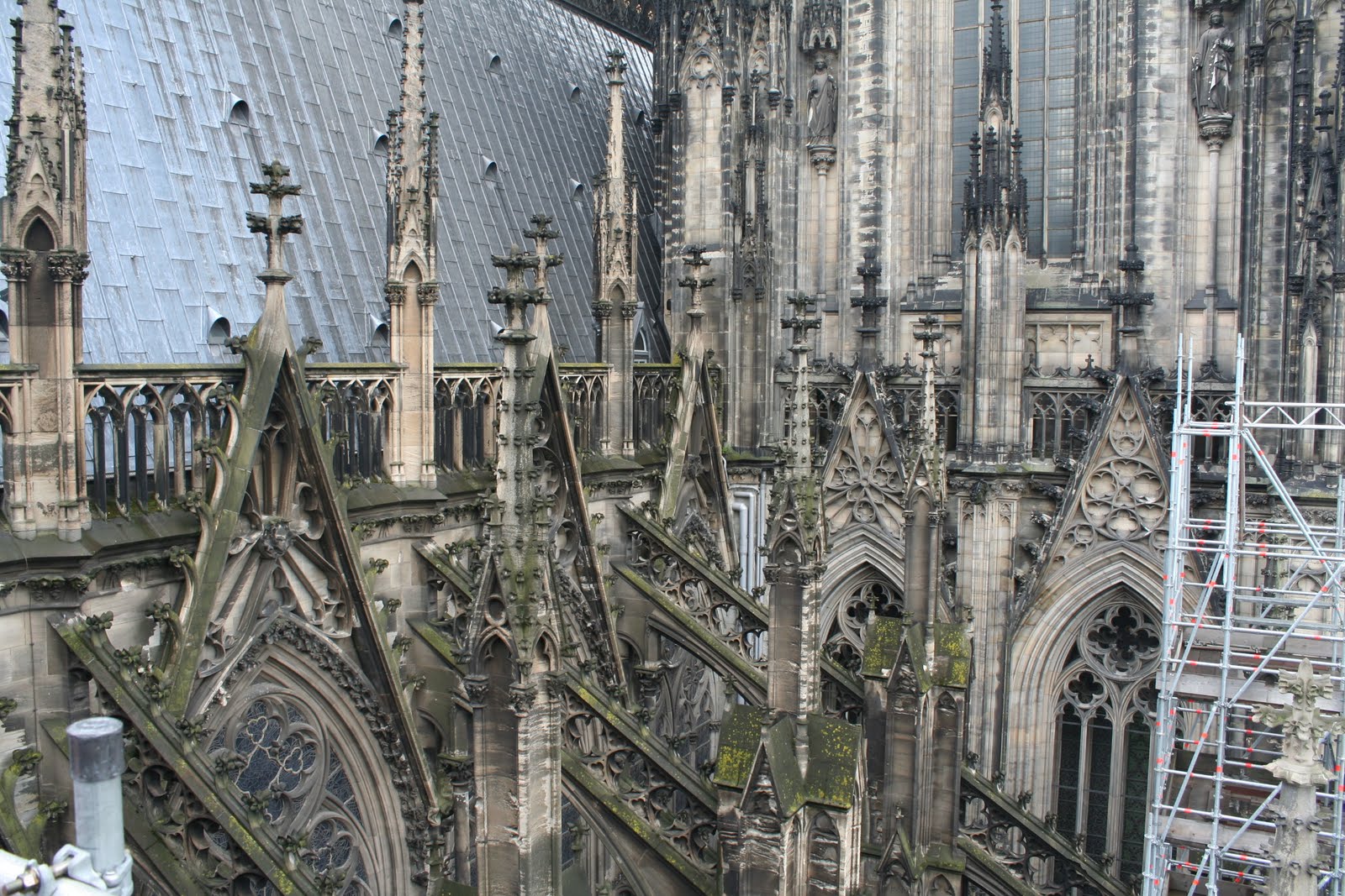 Bild-Blog: Dem Kölner Dom aufs Dach gestiegen