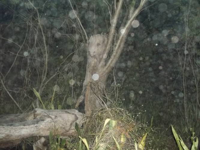 HISTORIAS REALES DEL MÁS ALLÁ: La casa donde los objetos se mueven solos