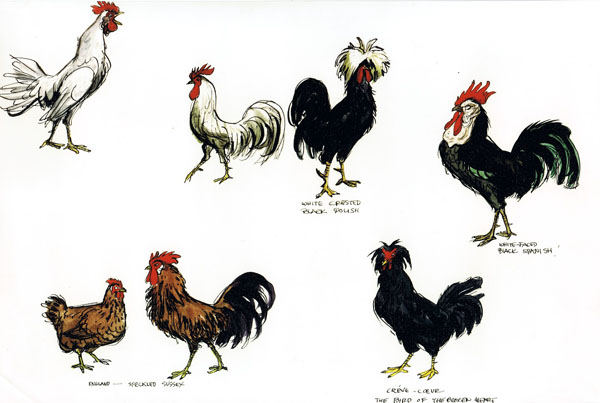 Gurney Journey: Marc Davis's Chanticleer