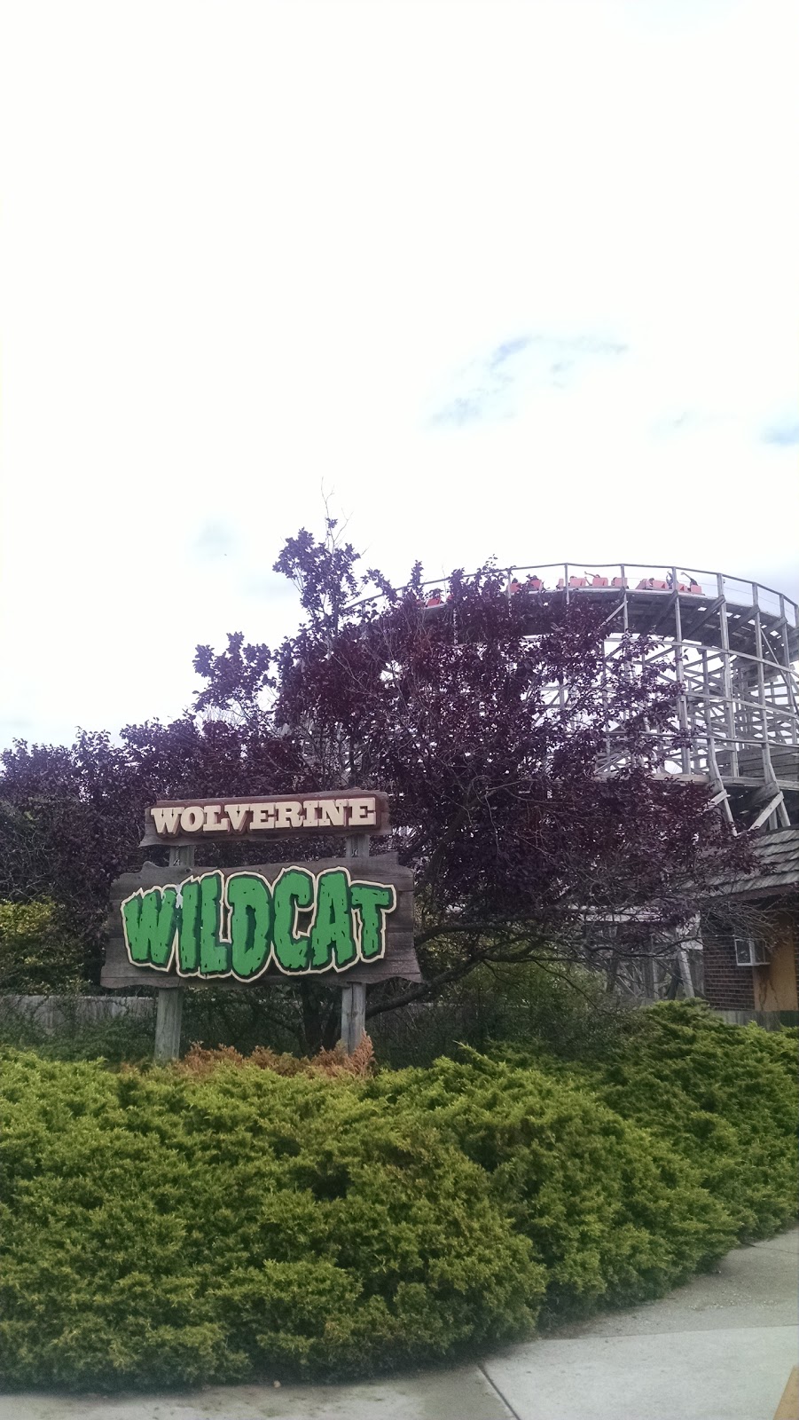 Muskegon, MI: Michigan's Adventure - Wolverine Wildcat - Explore This City