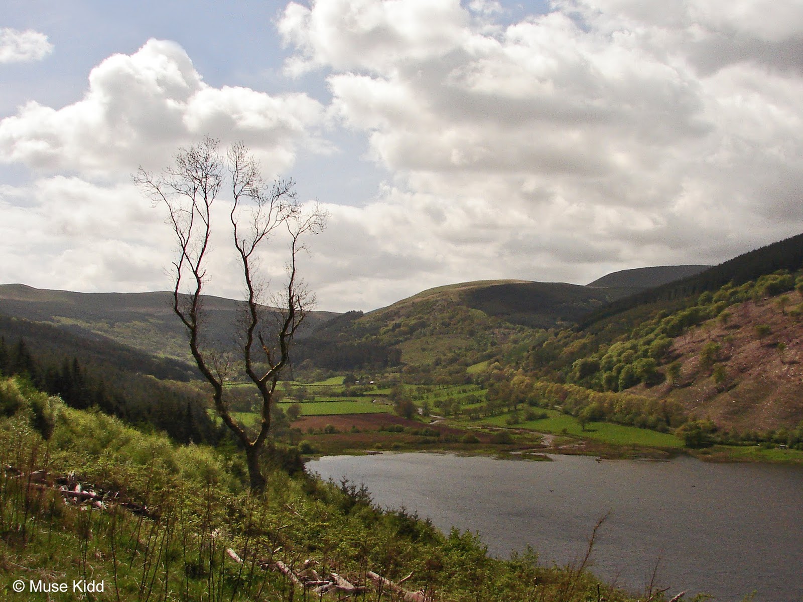 bike wales gallery - ARCHIVE: 2018 - JUNE Taff Trail to Brecon pt.2