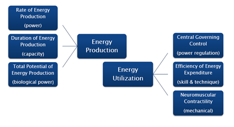 What is conditioning? | Viking Strength & Conditioning