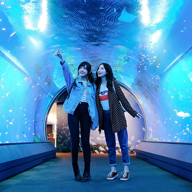 ELLE AND JESS: Osaka Trip | Our Honest Opinion of Nifrel Zoo, Kaiyukan ...