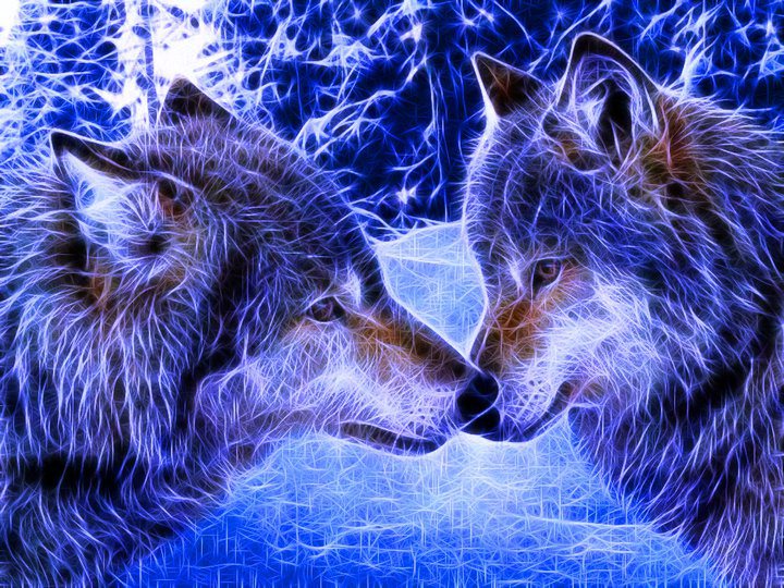 Stories as medicine: TWO WOLVES