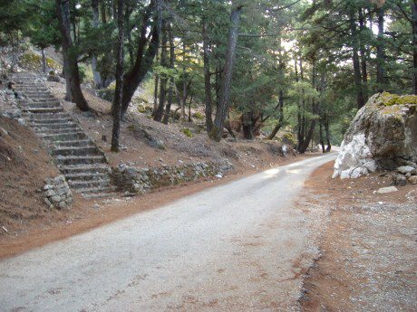 Δημοτικό Σχολείο και Νηπιαγωγείο Σαλάκου: Ο ΤΟΠΟΣ ΜΑΣ-ΣΑΛΑΚΟΣ