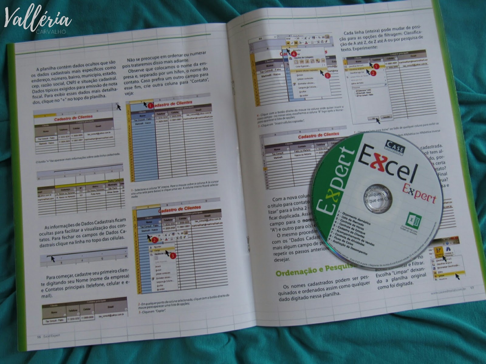 Blog Valléria Carvalho: Recebidos: Revistas de Informática da Case ...