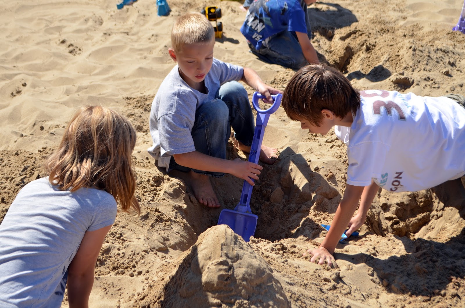 Pleasant Dreams Farm: Sun, sand, fun and crashes.