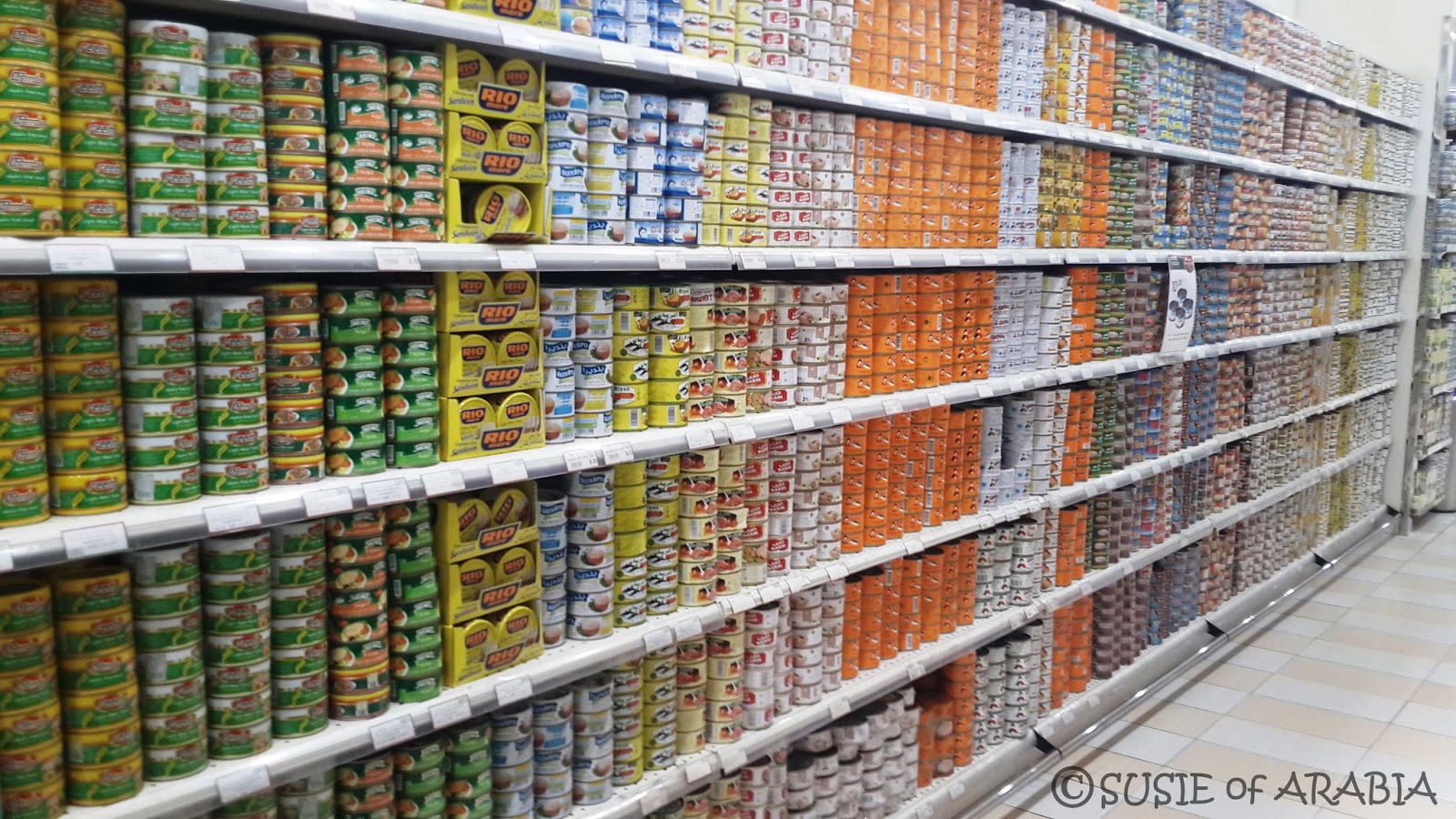 Jeddah Daily Photo: Tuna Selection