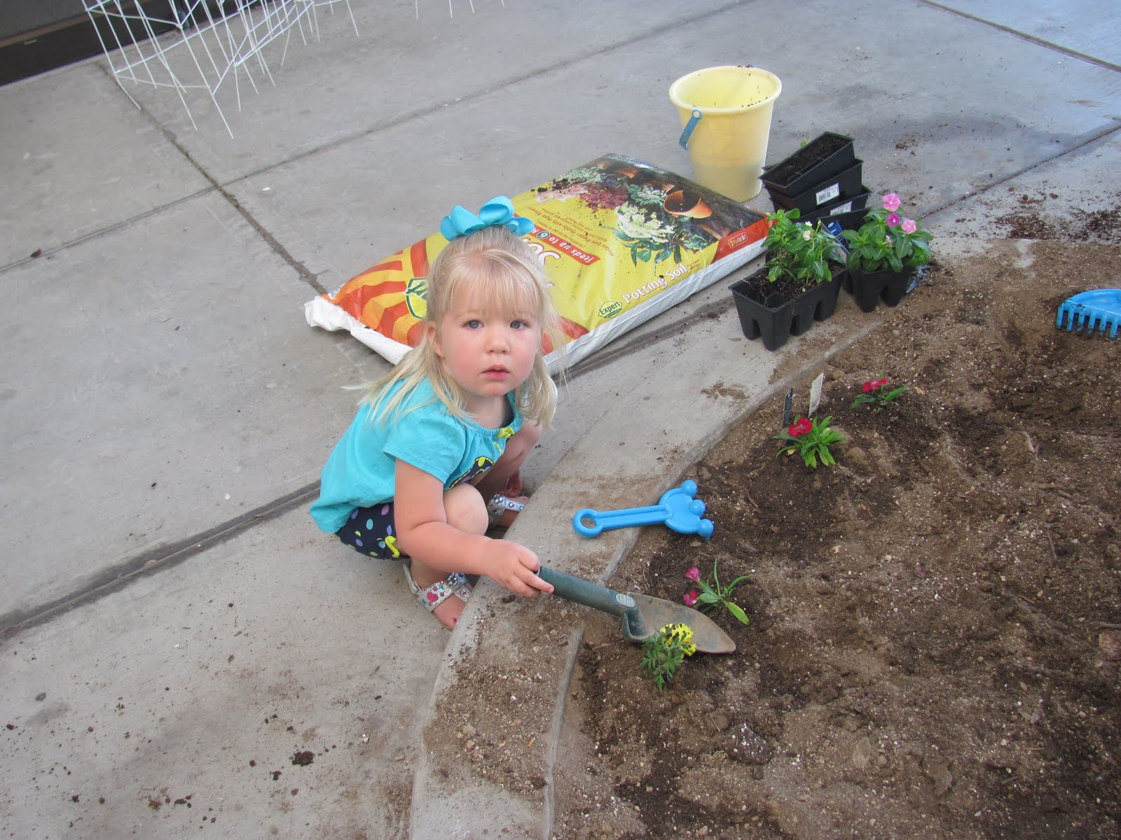Haynes Family: Planting flowers at preschool