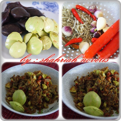 The Writer's CooKING!: Feb 16, 2011