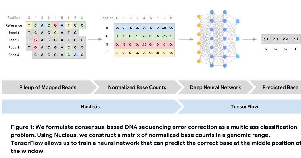 Using Nucleus and TensorFlow for DNA Sequencing Error Correction — The TensorFlow Blog