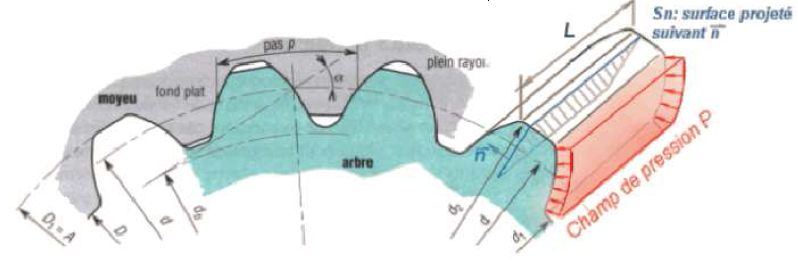 Calcul Cannelures ~ Le grand génie