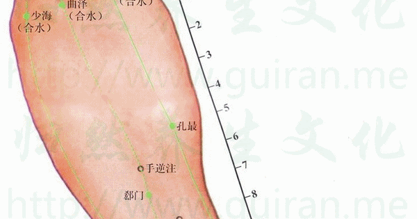 列缺穴位置 | 列缺穴痛 - 穴道按摩與穴位引導經絡功效圖解 - 穴道經絡引導