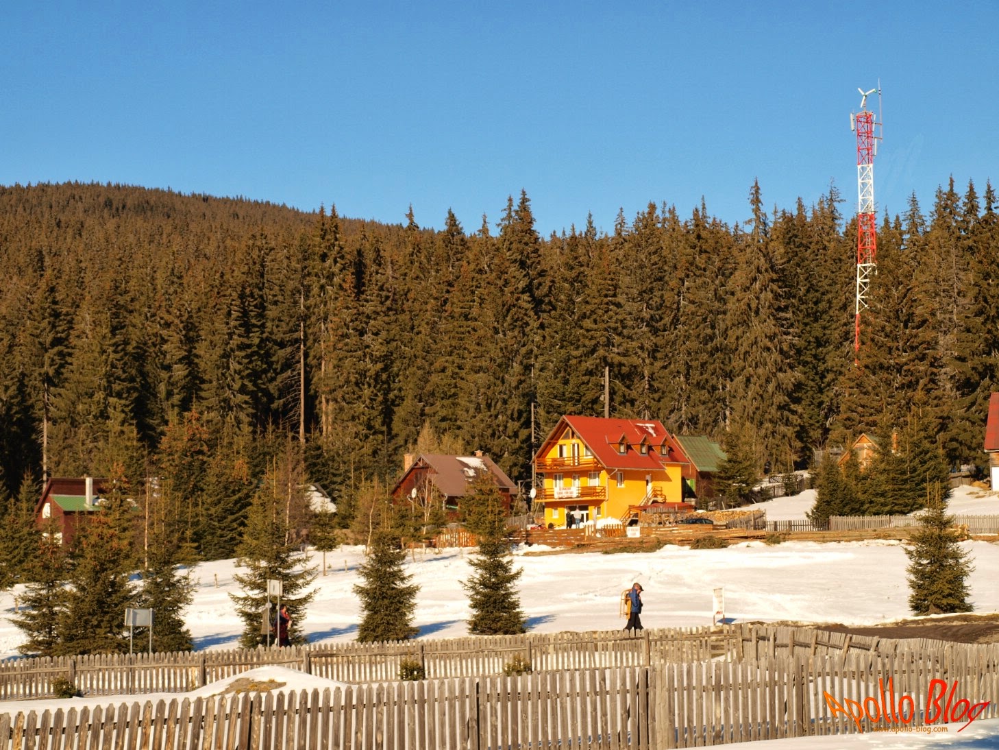 Apollo Blog: Schi @ Pasul Bucin