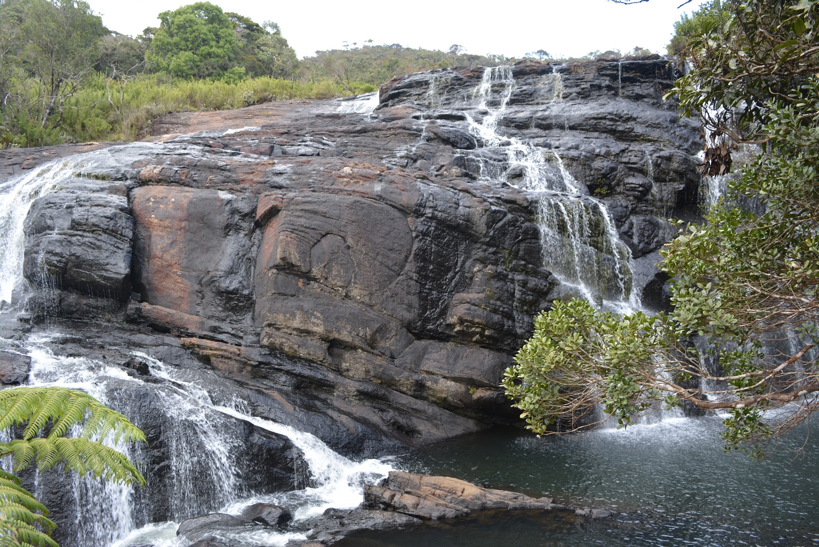 විහින්දි Vihindi: නිකසල මහඑළිය ජාතික වනෝද්‍යානය