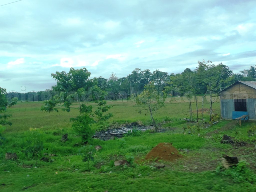 Agusan del Sur - En Route to Bunawan Ecopark and Wildlife Reservation ...
