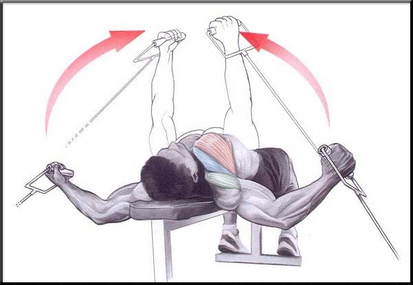 Exercícios para Peito - Crucifixo Reto - Dicas de Musculação