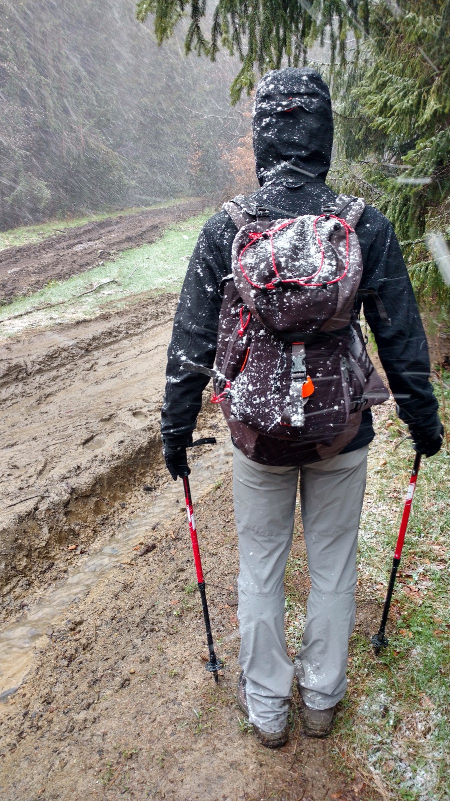 Lekka Kurtka Górska Quechua Forclaz 400 - Recenzja