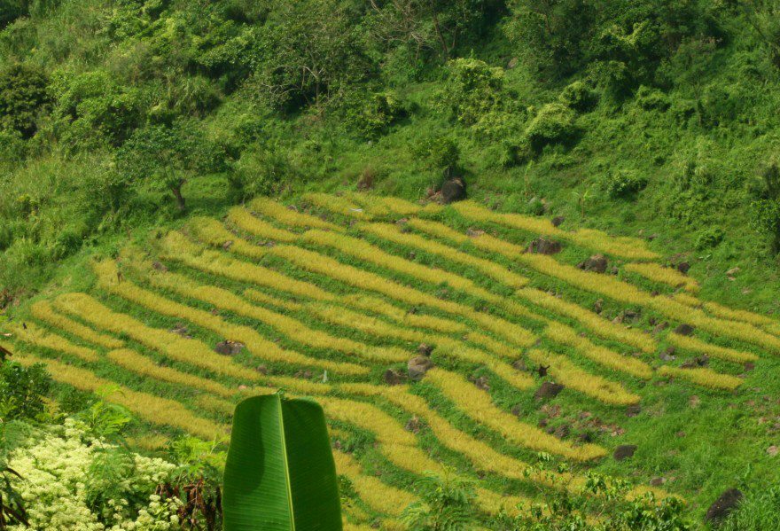 A quick stop-over at our friends' lovely hide-away with our balikbayan ...