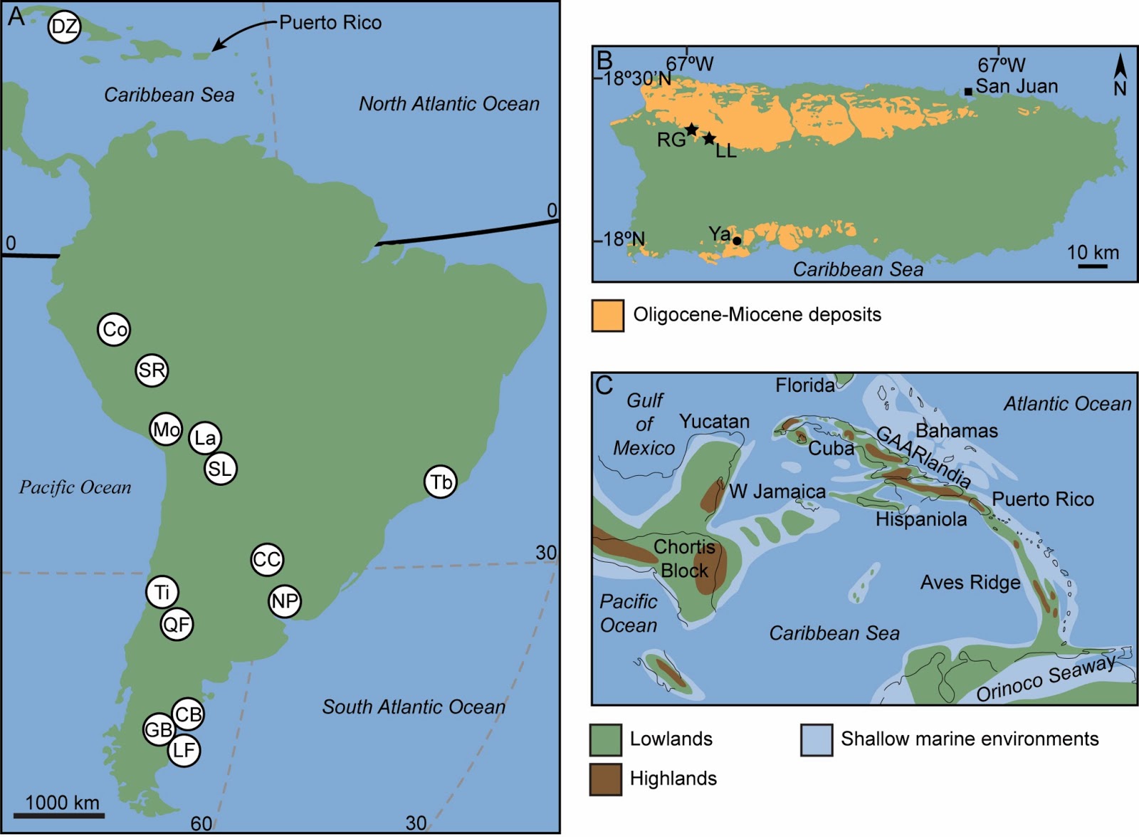 Caribbean Paleobiology: The oldest Caribbean rodents