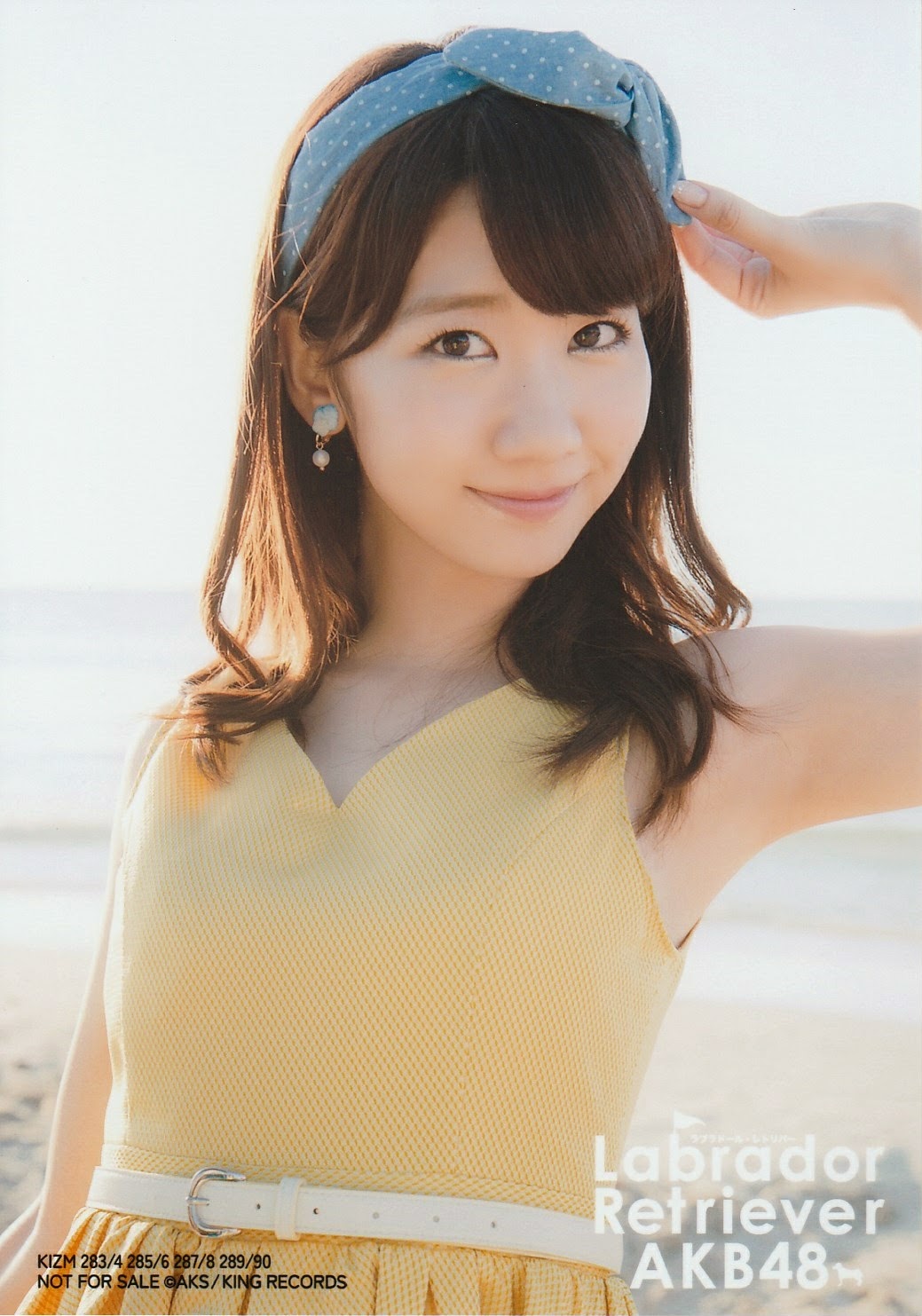 Photopack Kashiwagi Yuki [Labrador Retriever] - Dorahana Blog