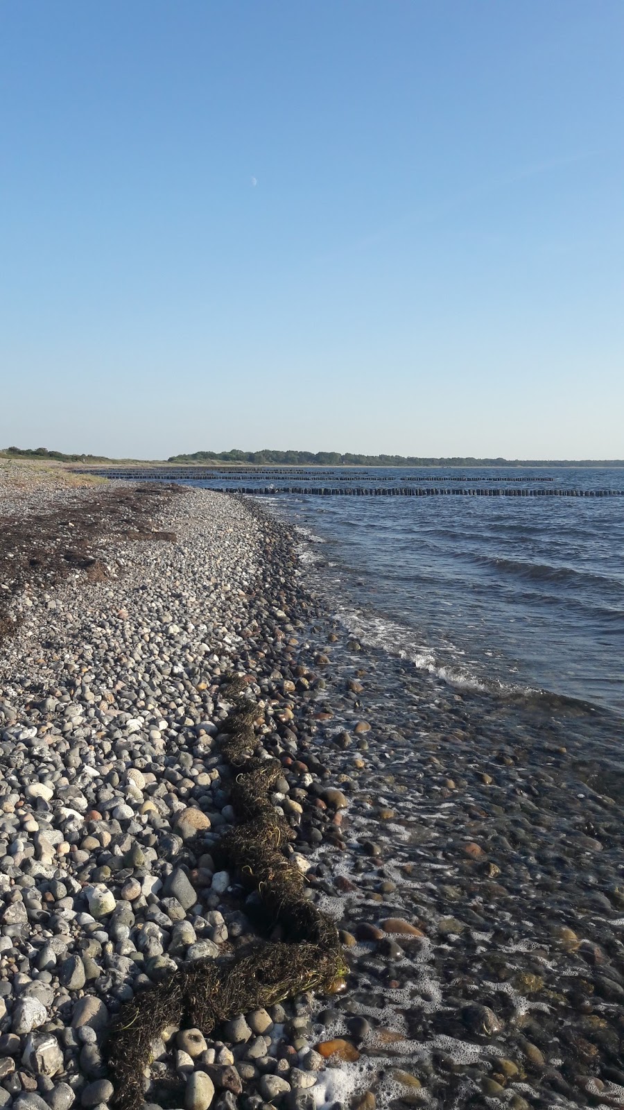 Od A do Z ugotujesz: Wyspa Rugia co zobaczyć i jak zwiedzać?