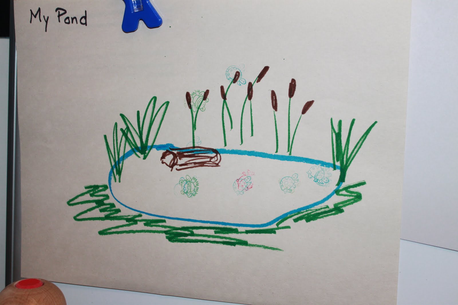 Miller Academy: Ponds - sensory & art projects