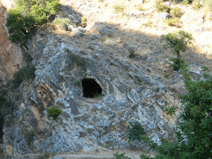 MUNDO DE LA PREHISTORIA: EL SENTIDO DE LOS SIGNOS TECTIFORMES.