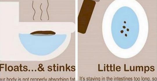 The Science Behind Your Poop; And What It Says About Your Body