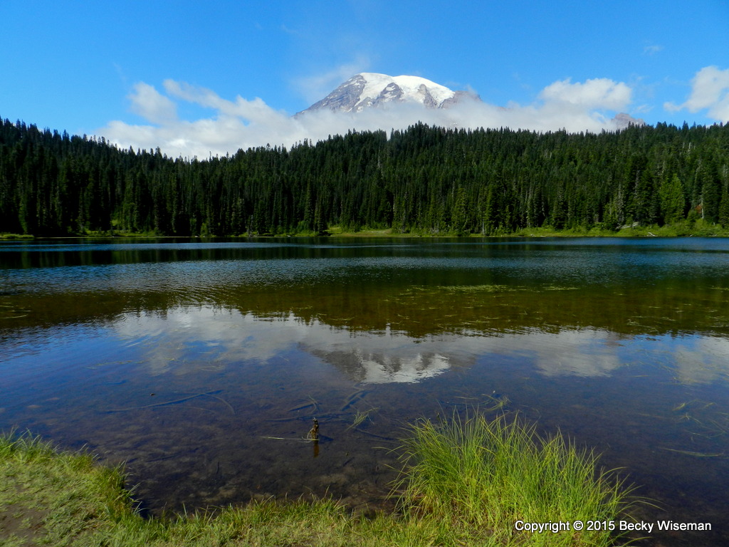 kinexxions: Mount Rainier - August 6th