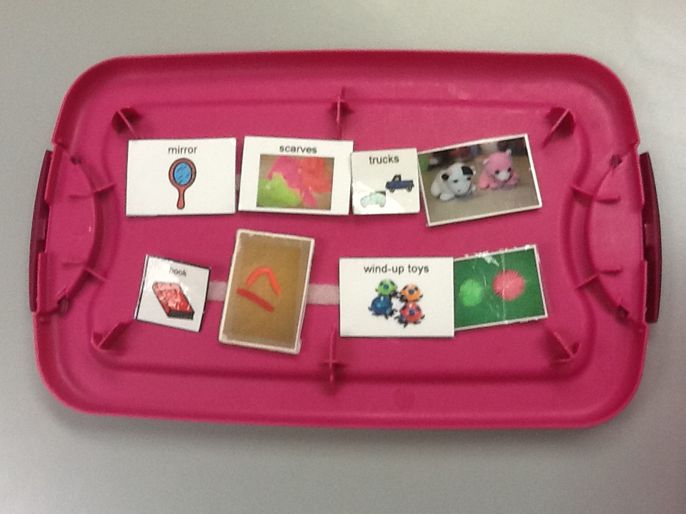 Carrie's Speech Corner: PECS: Organizing your Reinforcers