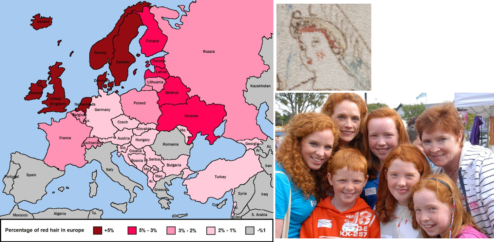 Unlocking the Voynich Manuscript: What They Look Like