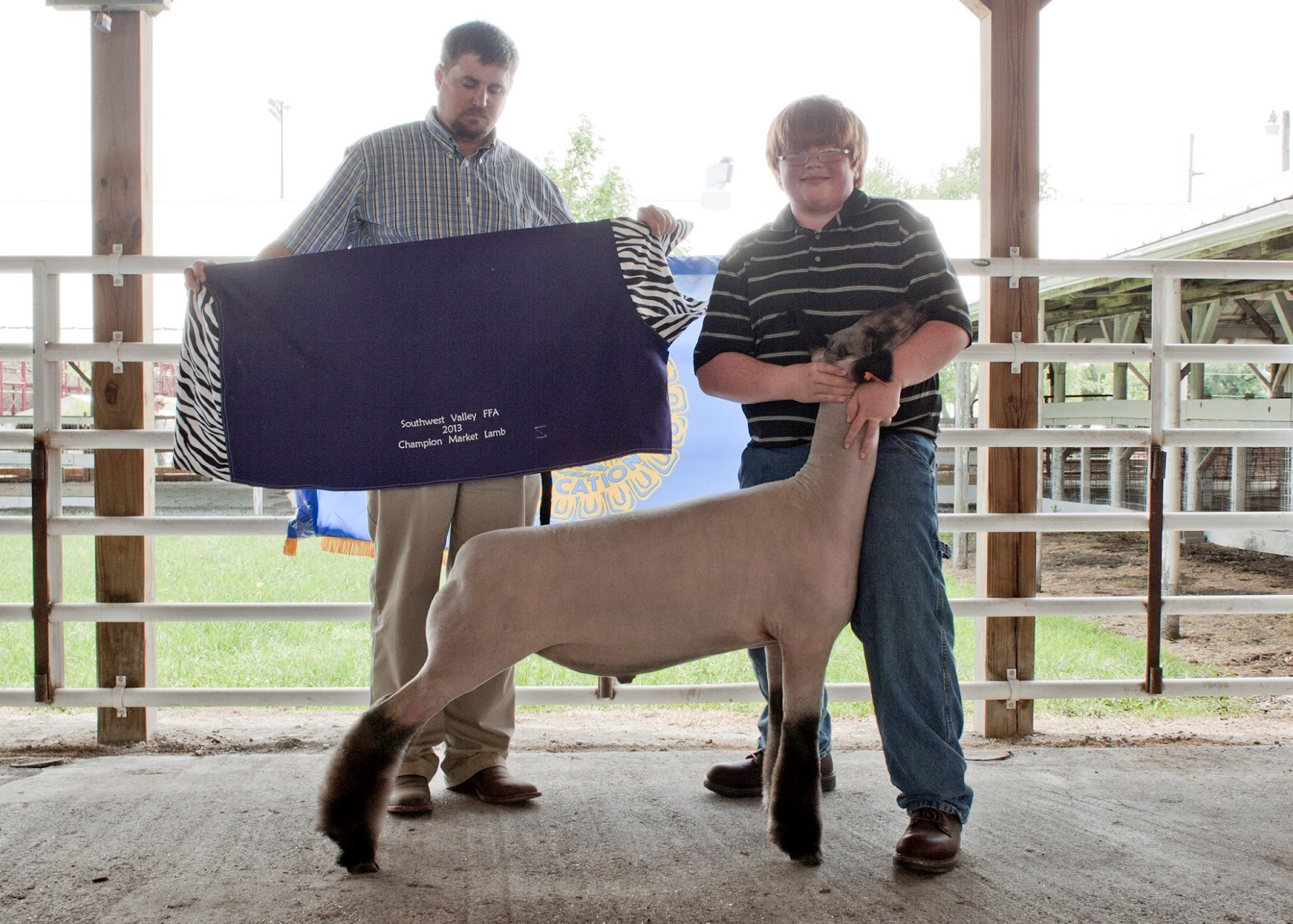 Habeger Show Stock News: Grand Champion Market Lamb | SW Valley FFA Show
