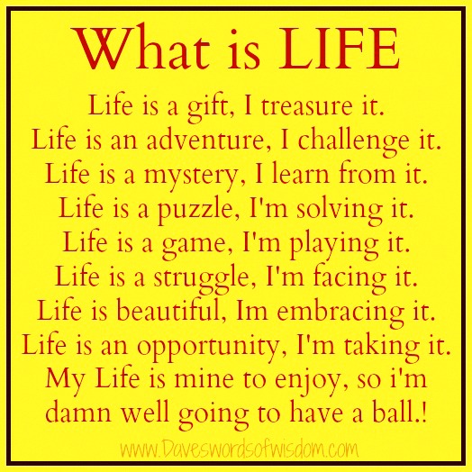 Daveswordsofwisdom.com: What Is Life?
