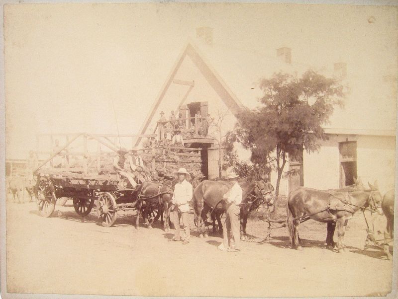 Melvin Residence: The Early History of Irene Farm