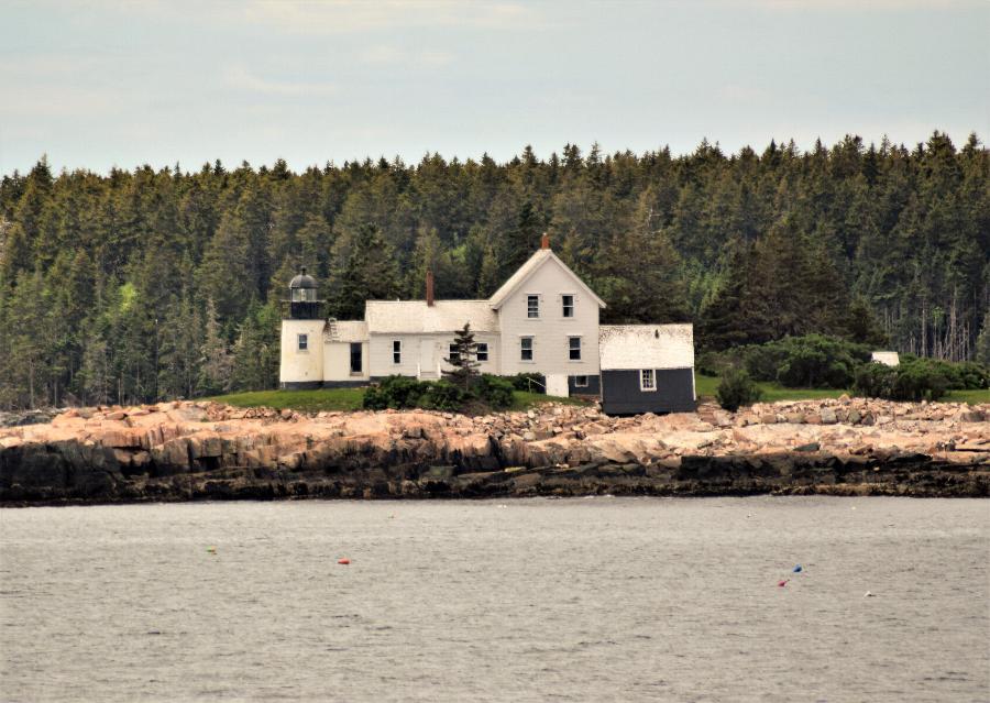 High Tide And Green Grass: Schoodic Point Maine