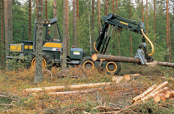 sobre explotacion de recursos: Sobre explotación de la madera